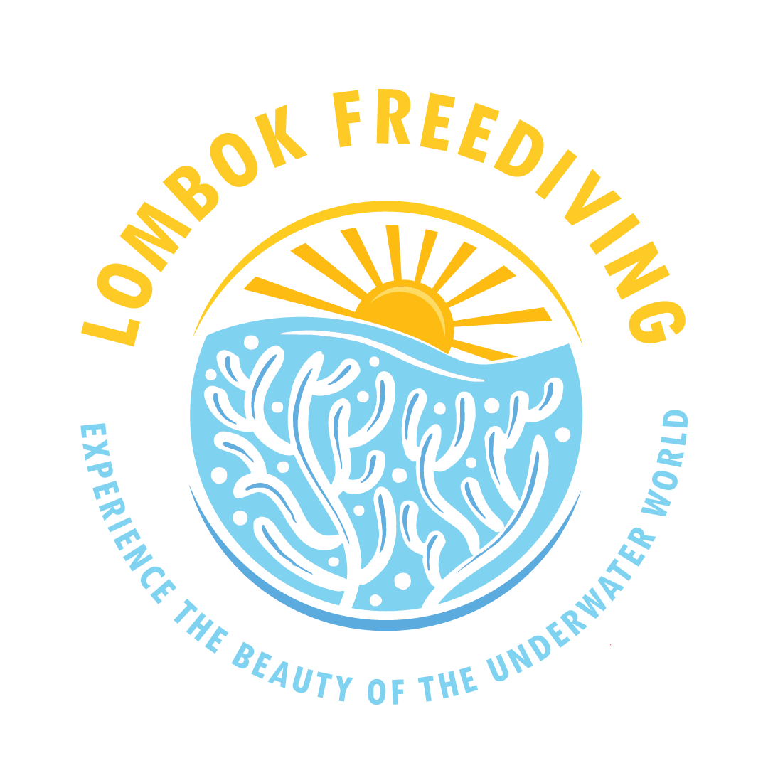Lombok Freediving – FreeDiving School in Kuta Lombok Immerse yourself ...